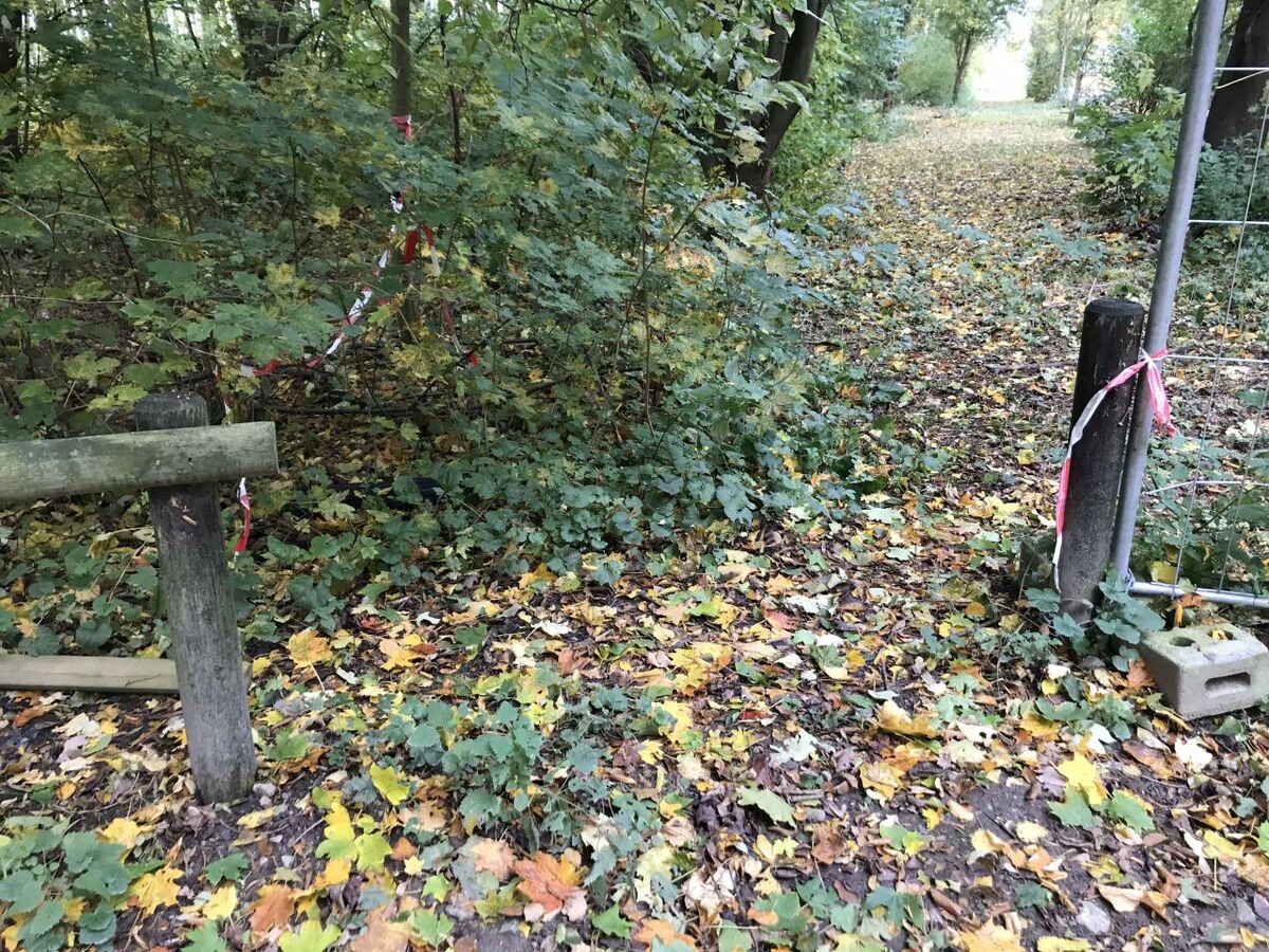 Ein neuer Rad- und Wanderweg im Arboretum Main-Taunus | HessenForst