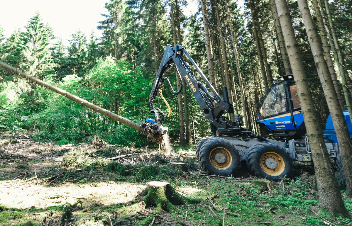 Riesige Erntemaschinen: Harvester hautnah | Hessen Forst