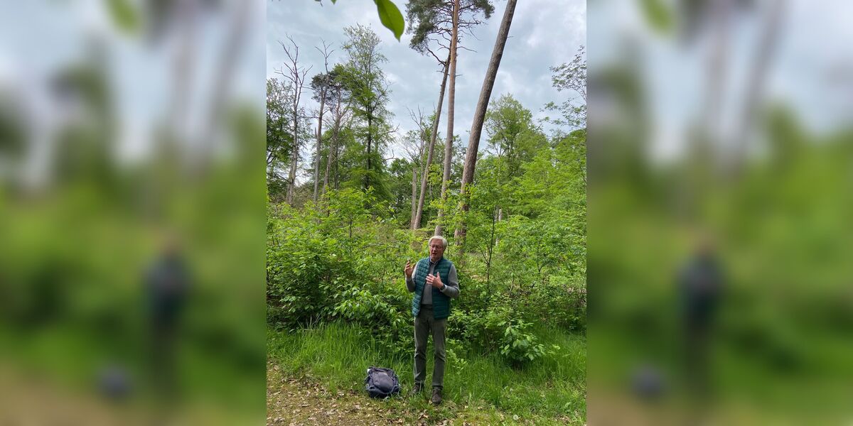 Wie steht es um die Zukunft unseres Waldes? | HessenForst